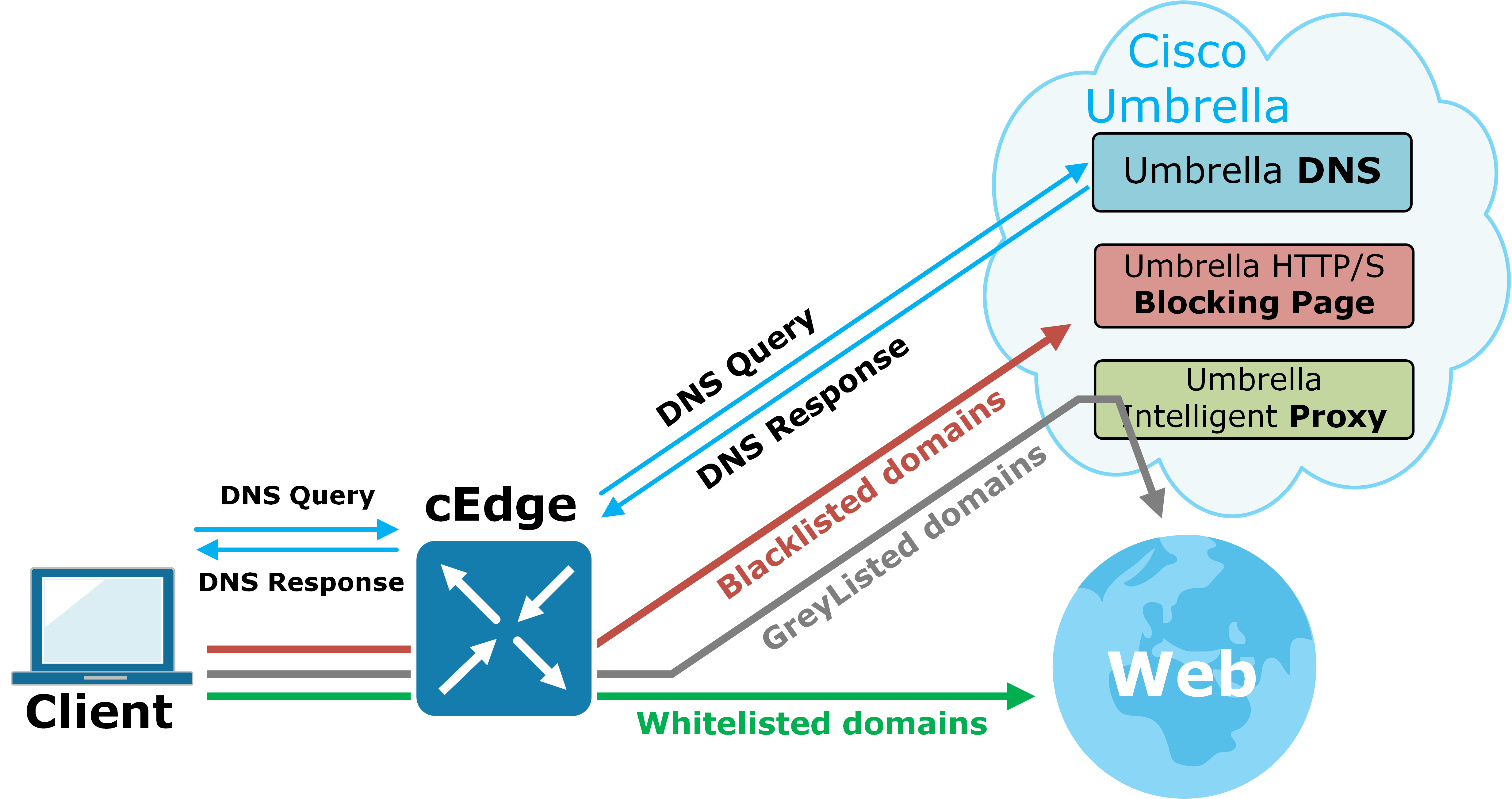 DNS Web Layer Security | NetworkAcademy.IO