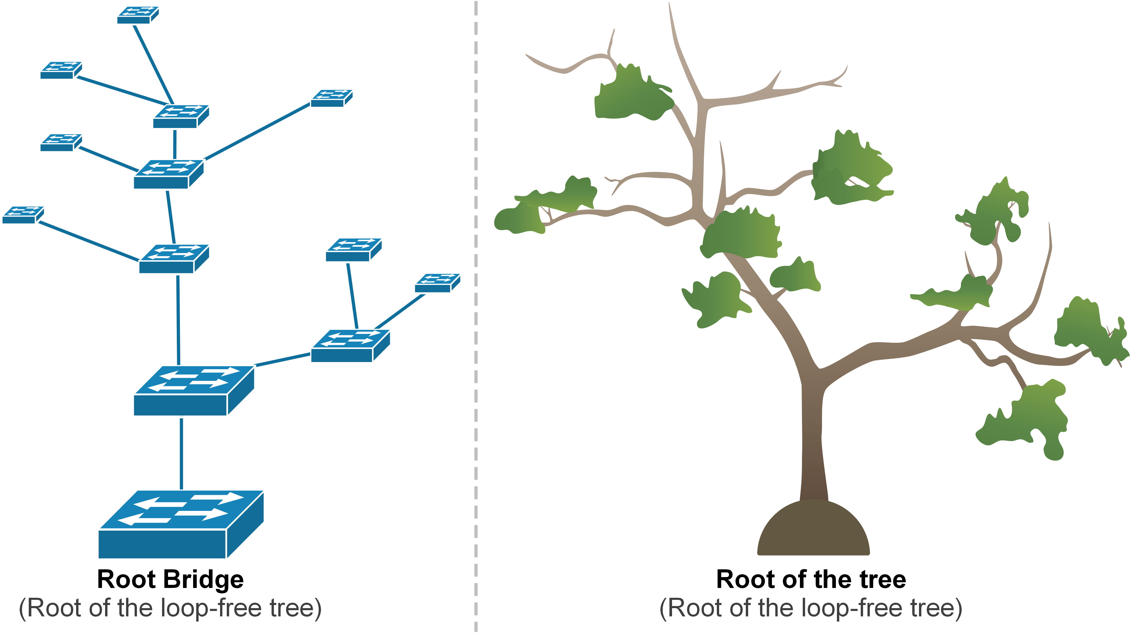 The Spanning-Tree Algorithm | NetworkAcademy.IO
